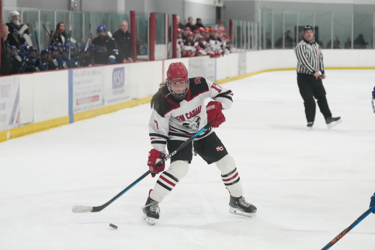 Ram athletes dominate the winter season on the mat, rink and track